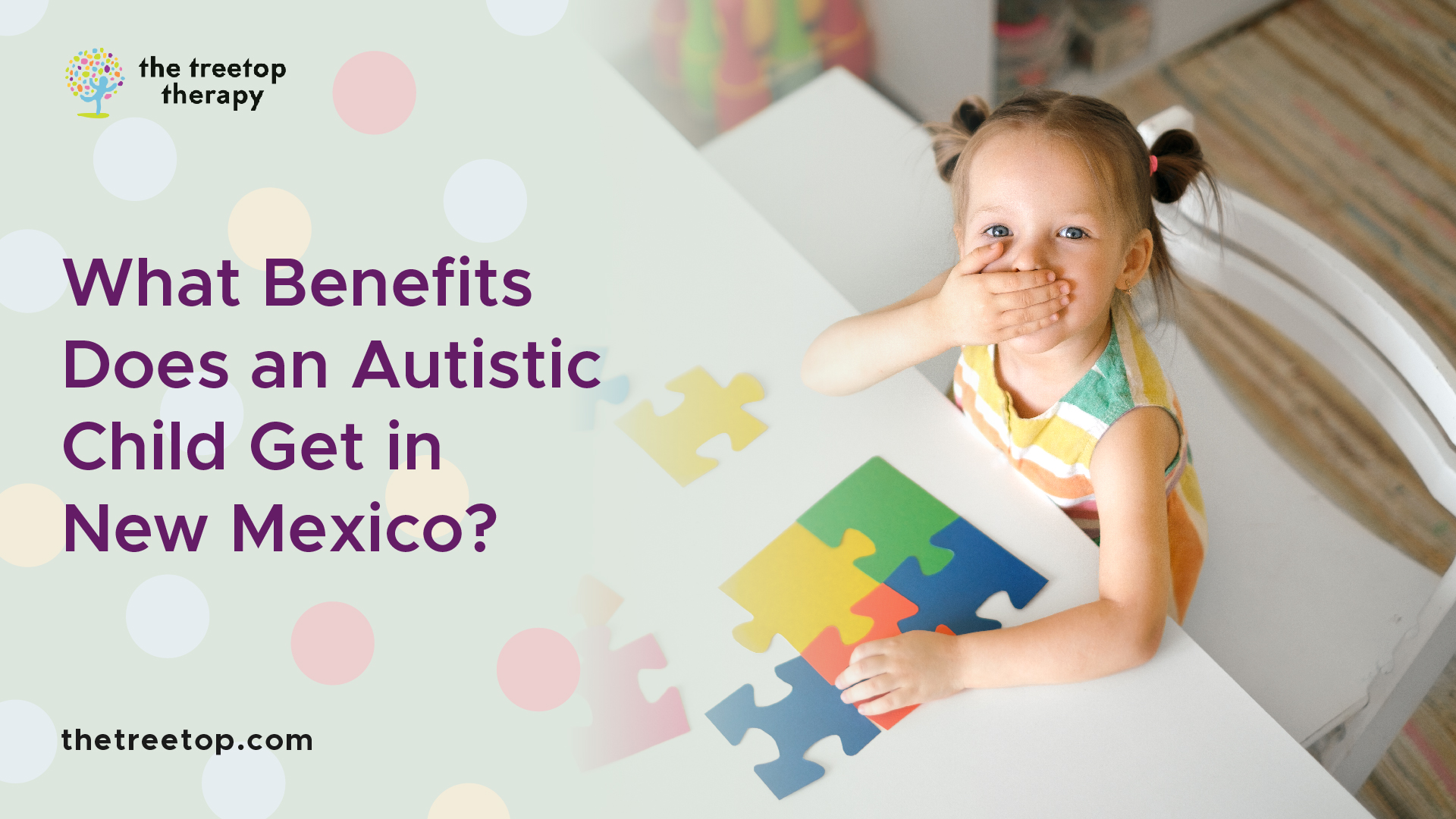 What Benefits Does An Autistic Child Get In New Mexico 